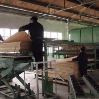 China ISO The Simulation White Apricot Wood Veneer H9036 Straight Cut For Cabinet Face Manufacturer From China for sale