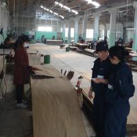 China Simulation Wood White Ice Tree Veneer 3100mm Indoor Decorative Board WIT-C for sale