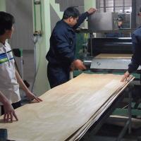 China Reconstituted Decorative Engineered Wood Sheets Veneer White Vine 905S 0.5mm for sale