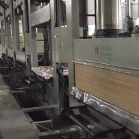 China High-End Custom MPF-X8033 Engineered Wood Veneer Maple Figured Grain Thickness Can Be Customized Service for sale