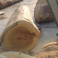 China Reconstituted Decorative Engineered Wood Sheets Veneer White Vine 905S 0.5mm for sale