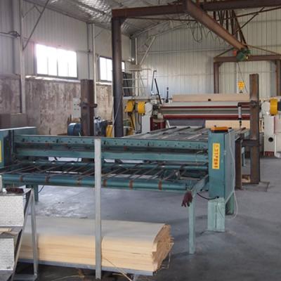 China American Crown Grain Fancy Wood Veneer White Oak 1566C Customized 2200-3100mm For Cabinet for sale