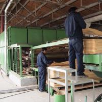 China Recomposed Veneer - 3D Engineered Veneer, Low Formaldehyde & Moisture-proof 3DZM-L6.1 for sale