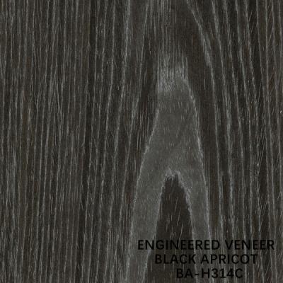 China Furniture Black Apricot Engineered Wood Veneer H314C Flat Cut Crown Grain 2500-3100mm for sale