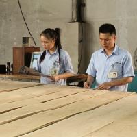 China Natural Okoume Wood Veneer Specially Crotch Grain Slip Match Service For Hotel Decoration for sale