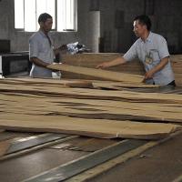 China 0.5mm Thickness Natural Tamo Ash Veneer For Car Interior And Musical Instrument for sale