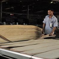 China Musical Instruments Africa Anegre Figured Wood Veneer Fiddle Back Grain 0.5mm for sale