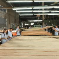 China Add Elegance To Space Maple Veneer Panels Flocculent Shadows Texture Manifestations for sale