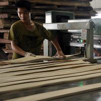 China Artificial Wood Veneer of Golden Tree Ring 0.30mm G.TR-X3388 Slice Cut For Cabinet Face for sale