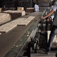 China Flat Cut Crown Cut Natural Cherry Wood Veneer 0.15-0.5mm For Panel And Furniture Face for sale