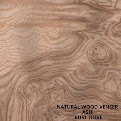 China Unusual Natural White Ash Wood Veneer Burl Olive AA Grade For Wall Covering Thickness 0.5mm for sale
