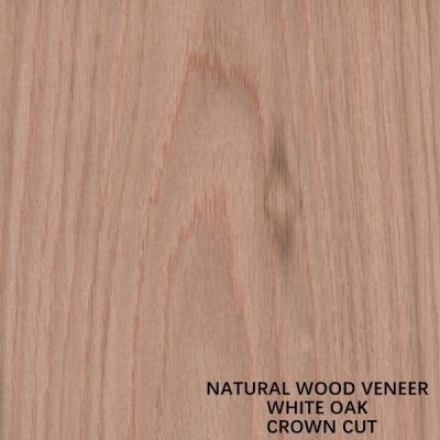China American Natural Oak Wood Veneer Flat Cut Crown Cut Grain AAA Grade Thickness 0.5-0.55mm For Cabinet Face China for sale