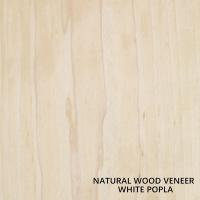 China Natural White Poplar Wood Veneer Size 2440*1220mm Thickness 0.4mm For Furniture Project Decoration for sale