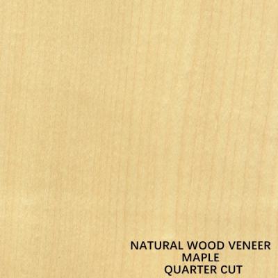 China American Natural Maple Wood Veneer Quarter Cut Thickness 0.5mm Good Quality For Furniture And Musical Instrument for sale