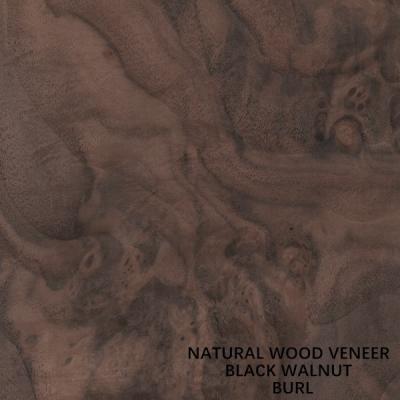 China Decoration Natural Walnut Wood Veneer Excellent Burl Grain For High Class Furniture Making FSC China Manufacturer for sale
