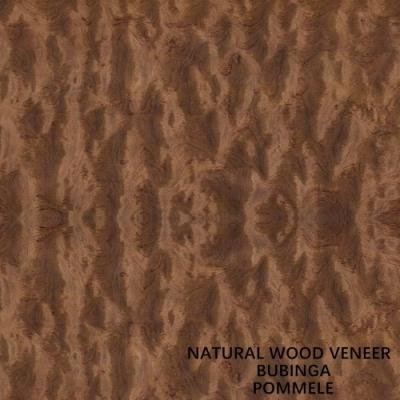 China Pommele Grain Africa Natural Bubinga Wood Veneer 0.5mm For Musical Instruments for sale