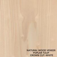 China Tulip American Natural Poplar Wood Veneer Flat Cut Crown White For Doors for sale