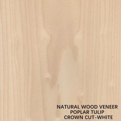 China Tulip American Natural Poplar Wood Veneer Flat Cut Crown White For Doors for sale