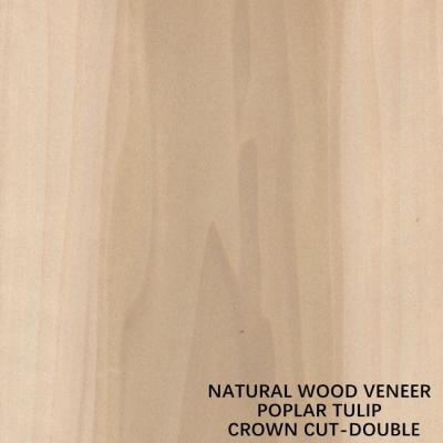 China Double Color American Natural Poplar Wood Veneer Flat Cut Crown For Fancy Plywood for sale