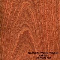 China Paneling And Doors Africa Natural Sapele Wood Veneer Flat Cut Crown Grain AAA Grade for sale