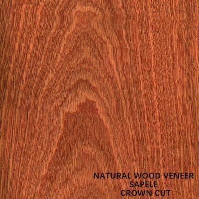 China Paneling And Doors Africa Natural Sapele Wood Veneer Flat Cut Crown Grain AAA Grade for sale