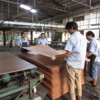 China Fancy Hickory Bicolor Crown Grain Based MDF / Particle Board Veneer Panels 2440x1220mm for sale