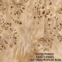 China Fancy Panel Faced Natural White Poplar Burl Wood Veneer For Hotel Decoration 2440/2745mm Lengthened Size China Supply for sale