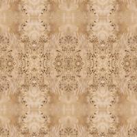 China Fancy Panel Faced Natural White Poplar Burl Wood Veneer For Hotel Decoration 2440/2745mm Lengthened Size China Supply for sale