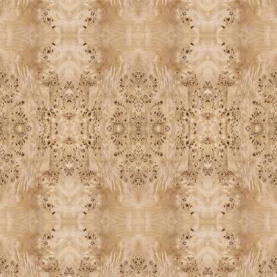 China Fancy Panel Faced Natural White Poplar Burl Wood Veneer For Hotel Decoration 2440/2745mm Lengthened Size China Supply for sale