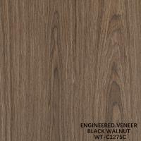 China Artificial Natural Wood Veneer Crown Cut Walnut Standard Size 2500*640 For Indoor Decorative Board WT-C1275C/1512C/1715C for sale