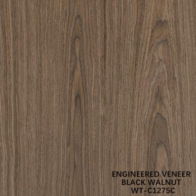 China Artificial Natural Wood Veneer Crown Cut Walnut Standard Size 2500*640 For Indoor Decorative Board WT-C1275C/1512C/1715C for sale