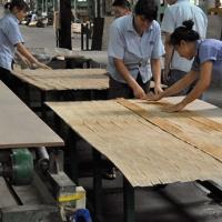 China Blue Cat'S Eye engineered wood veneer X809 Specially  Ring Grain Customized 0.55mm thickness for sale