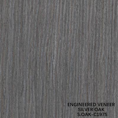 China Fancy Engineered Wood Veneer Of Silver Oak Quarter Cut For Door And Cabinet Face Lengthened Size 3100mm SOAK-197S/495Q/1326S/1579S/1640S for sale