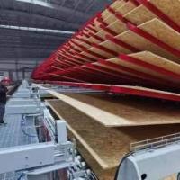 China Radiata Pine Oriented Strand Board 18mm OSB3 For Wooden Structure Building Luli Wood for sale