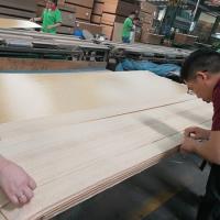 China Ev Veneer Transparent Tp-X1068 Veneer Fine-Line 2500*640mm For Wall Panel for sale