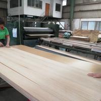 China Customized Service Engineered Wood Veneer Lengthened Size 3100mm GBE-X7018L for sale