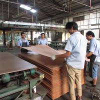 China Customized Service Engineered Wood Veneer Lengthened Size 3100mm GBE-X7018L for sale