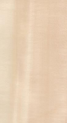 China Real Wood Veneer Basswood Slice Cut For Size 13cm Up Flat Cut Straight For Cabinet Face Sheet for sale