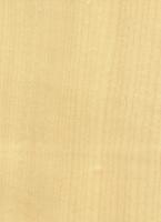 China Add Elegance To Space Maple Veneer Panels Flocculent Shadows Texture Manifestations for sale