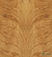 China American White Oak Solid Wood Sheet Slice Straight For Fancy Panel And Dyed Veneer 0.45mm Thickness for sale