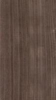 China America Black Walnut Natural Wood Veneer Straight Sliced For Fancy Panel Furniture And Flooring In 0.18-0.55mm Thickness for sale