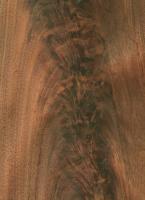 China America Black Walnut Natural Wood Veneer Straight Sliced For Fancy Panel Furniture And Flooring In 0.18-0.55mm Thickness for sale