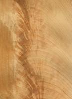 China Natural American Cherry Wood Veneer Sheet Slice Flat Cut 2200-3200mm Normal Size For Furniture Decoration for sale