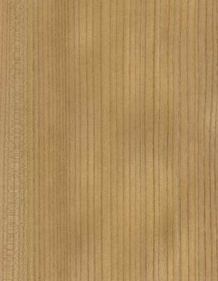 China Solid Wood American Elm Sheets Grade A For Quarter Cut Crown Grain Natural Color For Door Face 3200mm Up for sale