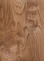 China Solid Wood American Elm Sheets Grade A For Quarter Cut Crown Grain Natural Color For Door Face 3200mm Up for sale