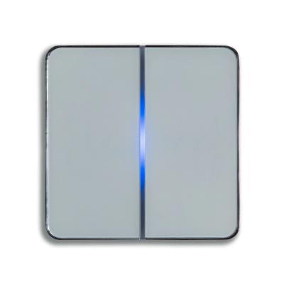 China Gray Aluminum Brushed 2 Gang Smart Wall Switch CNC Reset Push Button Full Touch 12-24V DC Dry Contact Technology Smart Life for sale
