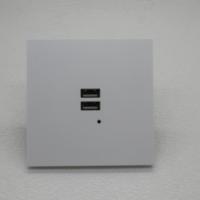 China Double France Aluminum Panel Wall Electrical Socket and EU US Power Plug Outlet for Vimar or legrand Socket Module for sale