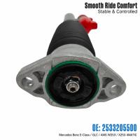 China 2533205500 Rear Air shock absorber Strut with ADS for Mercedes Benz E-Class GLC AMG  W253 X253 4 matic for sale