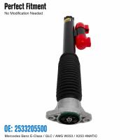 China 2533205500 Rear Air shock absorber Strut with ADS for Mercedes Benz E-Class GLC AMG  W253 X253 4 matic for sale