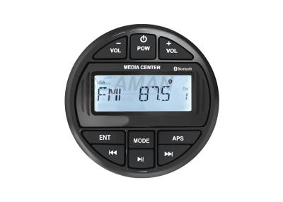 China 3 Inch Marine Waterproof Stereo Bluetooth Gauge Style 113x95mm 12V 180W for sale